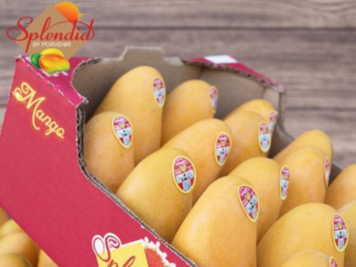 Blog - Splendid By Porvenir – Produce, fruits and vegetables